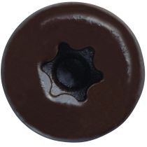 TrapEase Fascia: Color Matched Fascia Board Fastener | FastenMaster